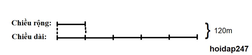Toán Lớp 5: 1 mảnh đất hình chữ nhật có nửa chu vi là 120m biết chiều rộng bằng 1/5 chiều dài ...