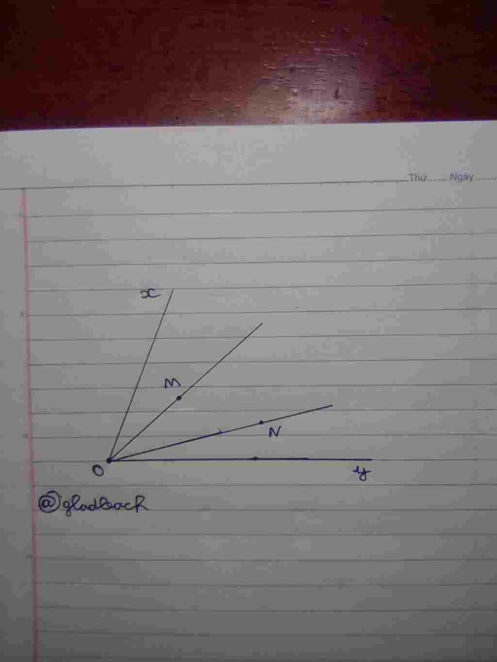Toán Lớp 6: cho hai tia chung gốc Õ và Oy không đối nhau , điểm M và n nằm trong óc xOy , nối OM ...