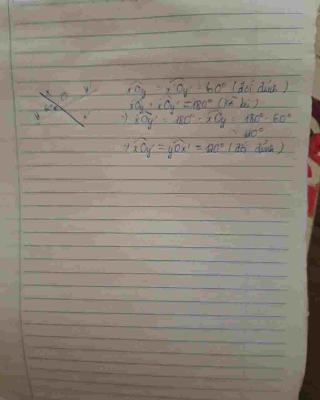 Toán Lớp 7: vẽ 2 đường thẳng cắt nhau sao cho các góc tạo thành 1 góc ...