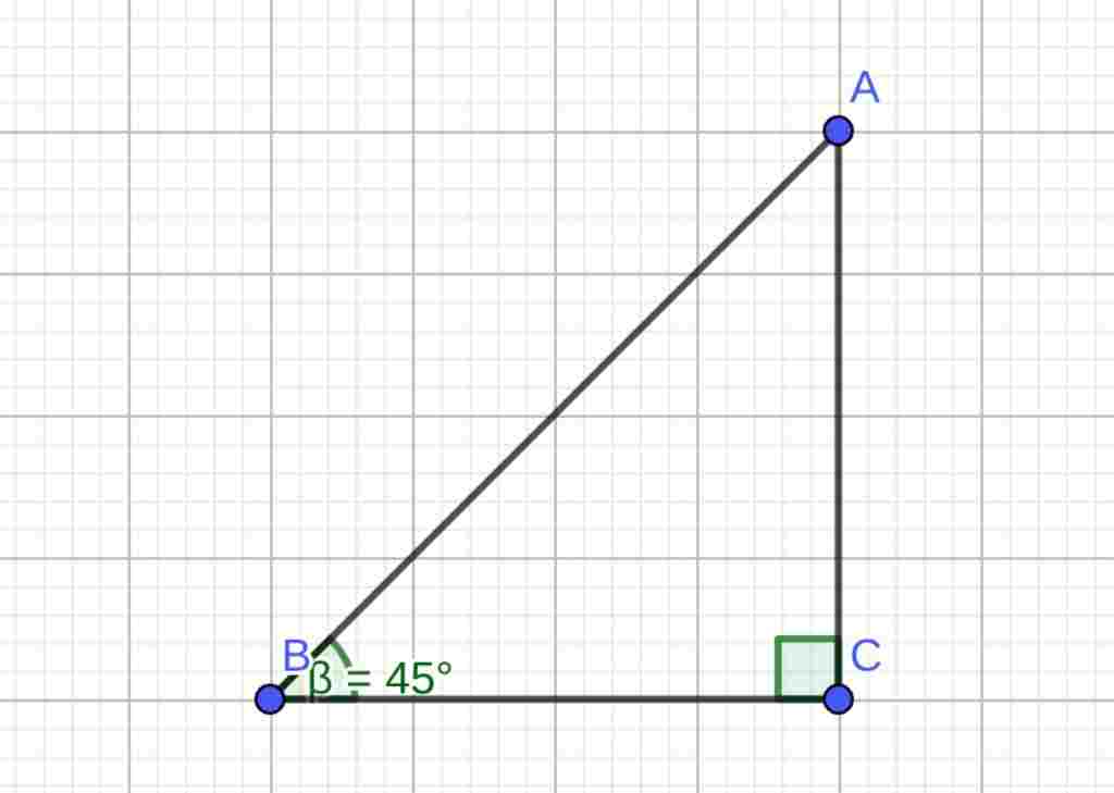 Toán Lớp 9: Khi Mặt Trời chiếu vào một cây trồng trên một mặt đất phẳng ...